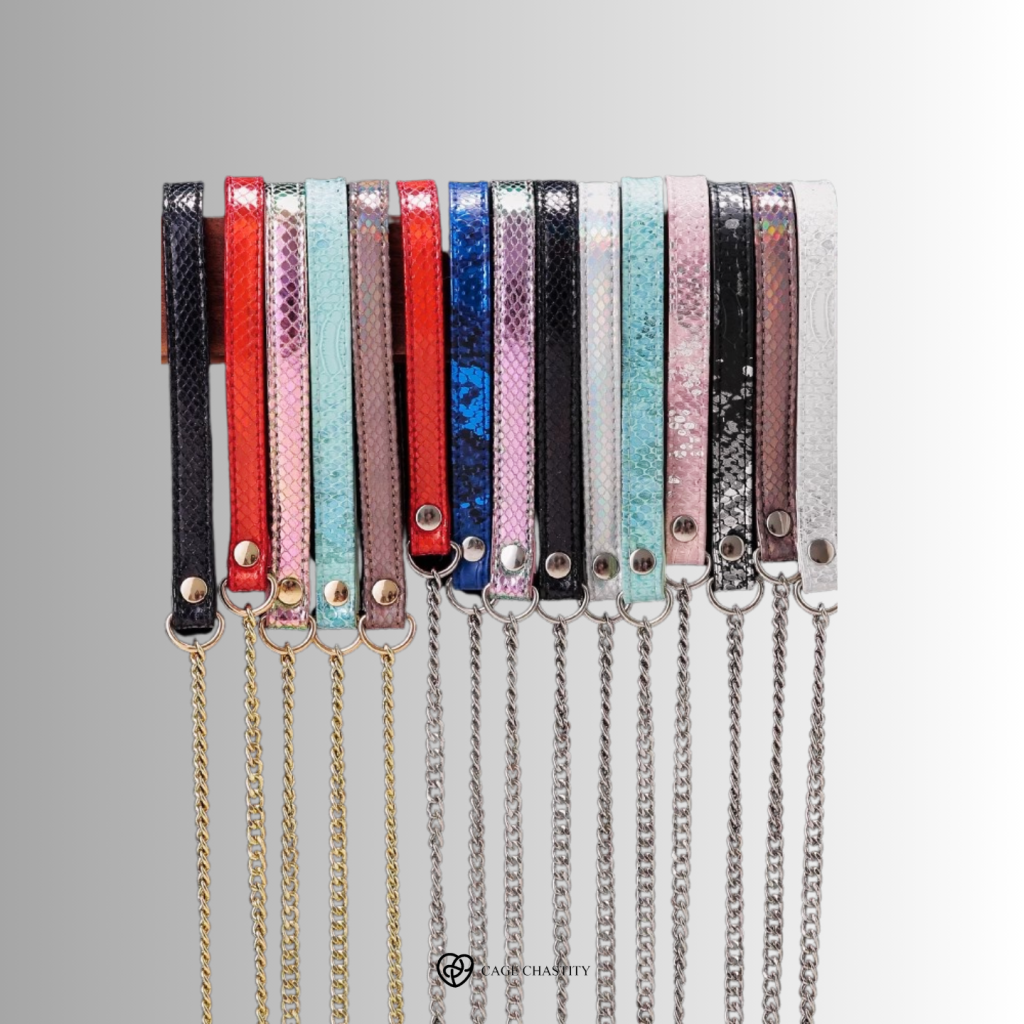 Eclipse Butterfly Collar | Beautiful Collar With Black Butterfly