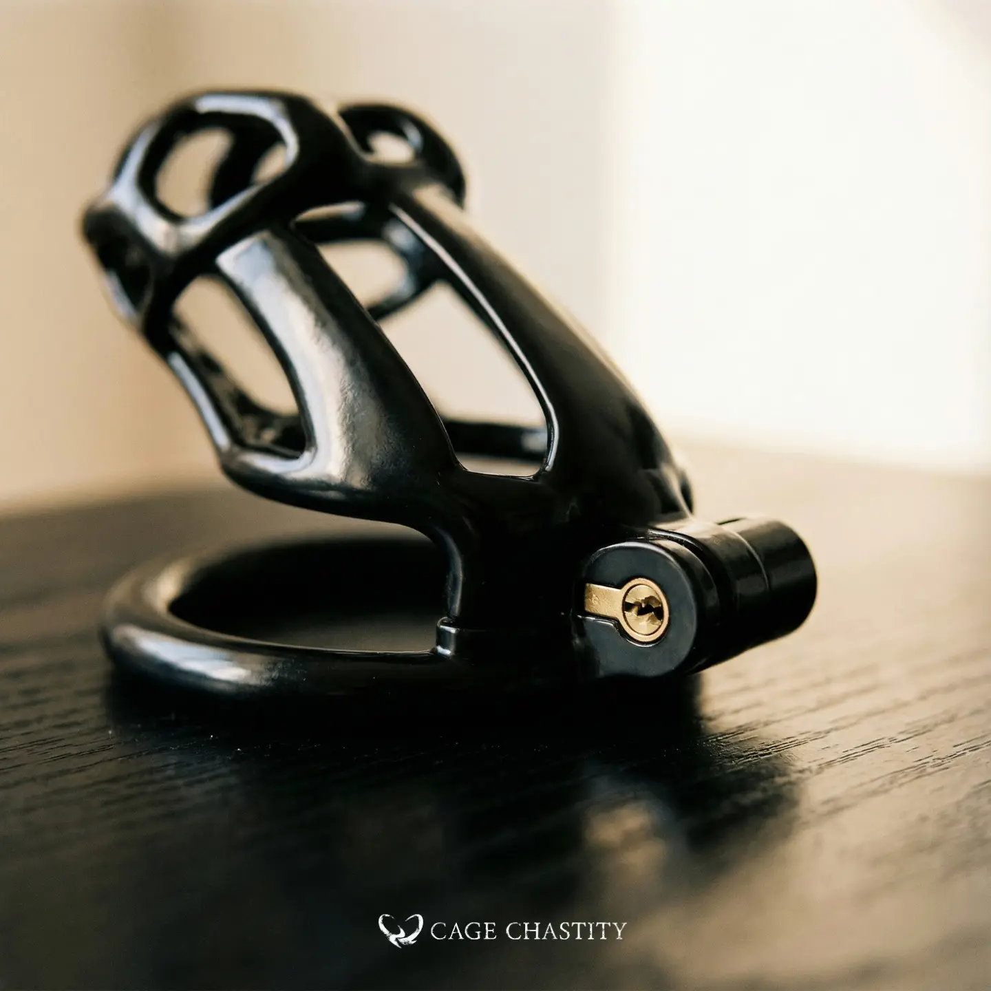 DEVIL KEEPER — Black Chastity Lock — CC10 | Cage Chastity